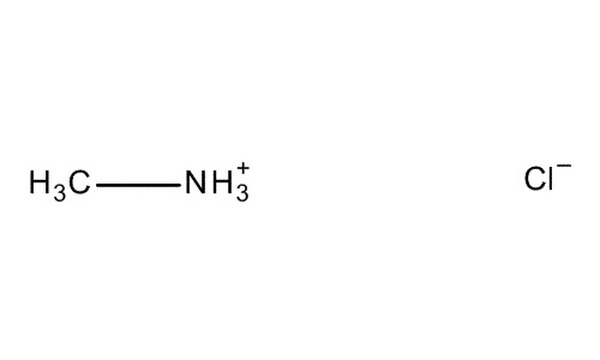 Methylammonium chloride CAS 593-51-1 | 806020